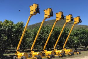 HP - Afron - Developing Innovative Pruning & Hedging Solutions