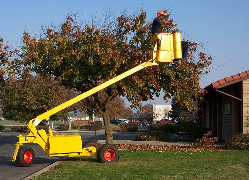 SA500 - Afron - Developing Innovative Pruning & Hedging Solutions