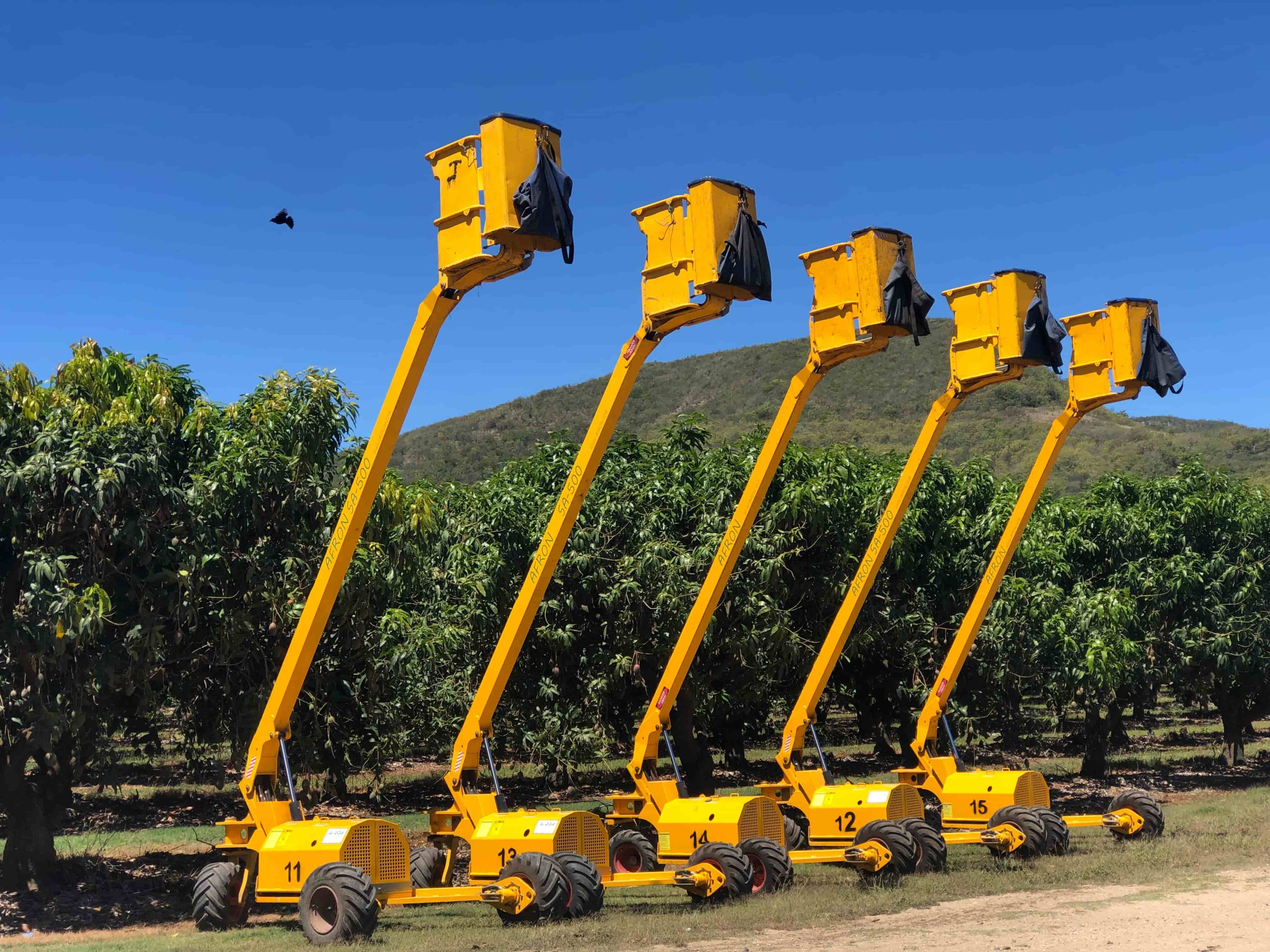 SA500 - Afron - Developing Innovative Pruning & Hedging Solutions
