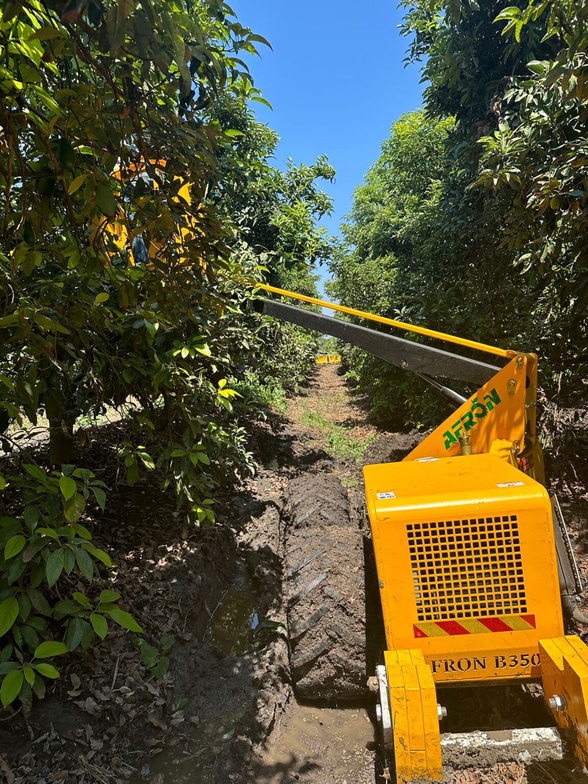 Brand New B350-AVOCADO - Afron - Developing Innovative Pruning ...